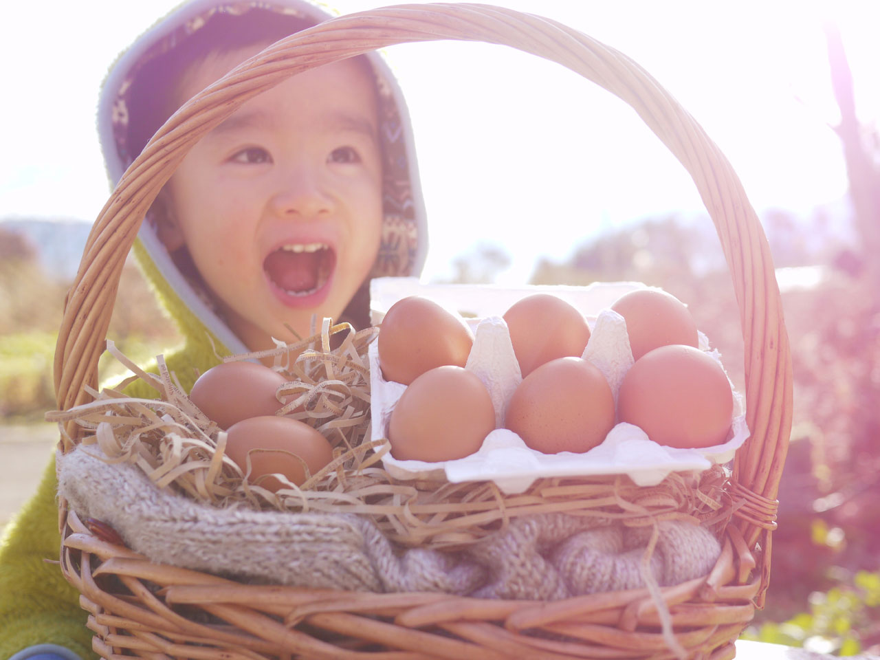 KING EGG FARM KING EGG FARM